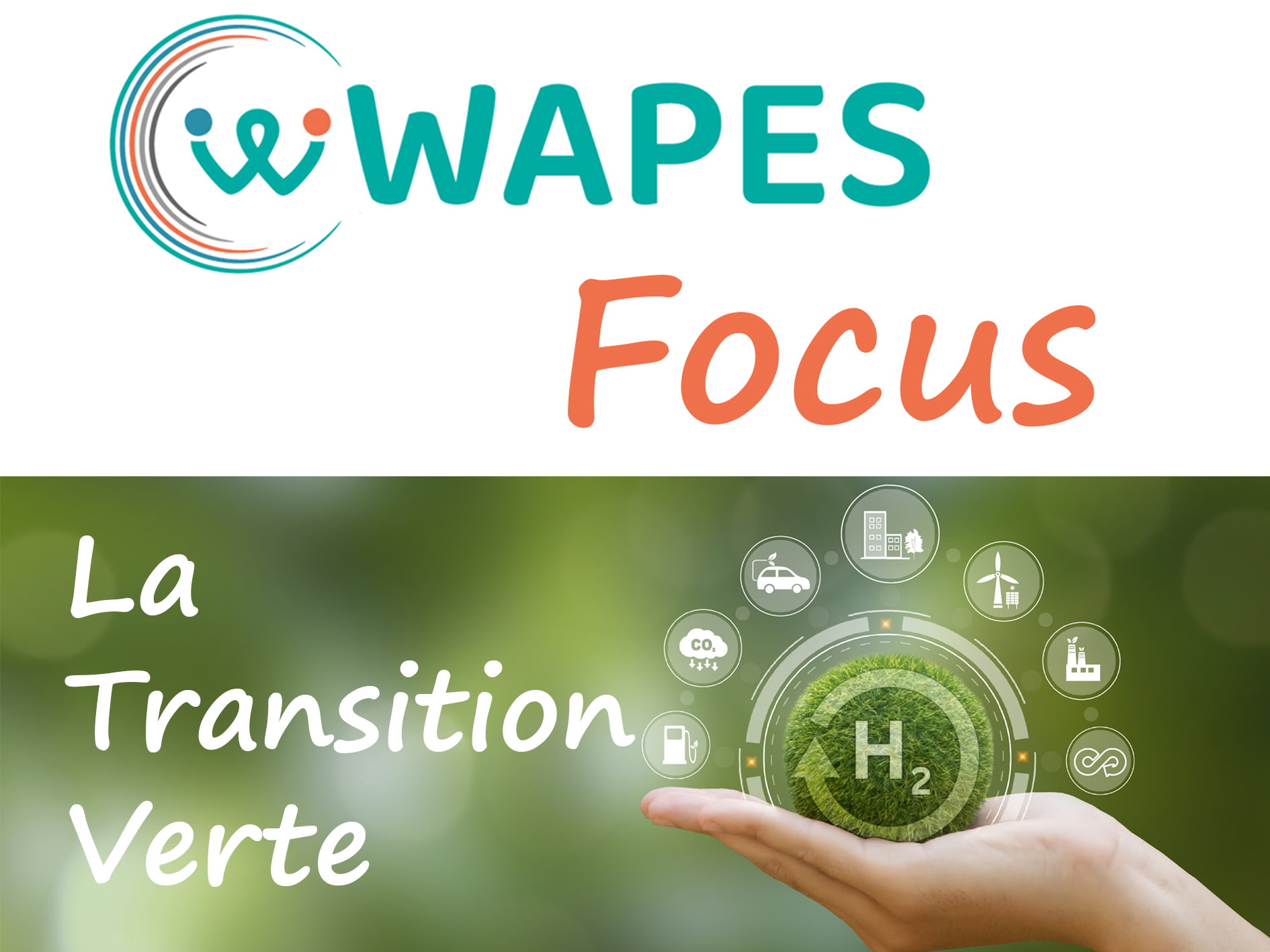 WAPES Focus: La transition verte - WAPES