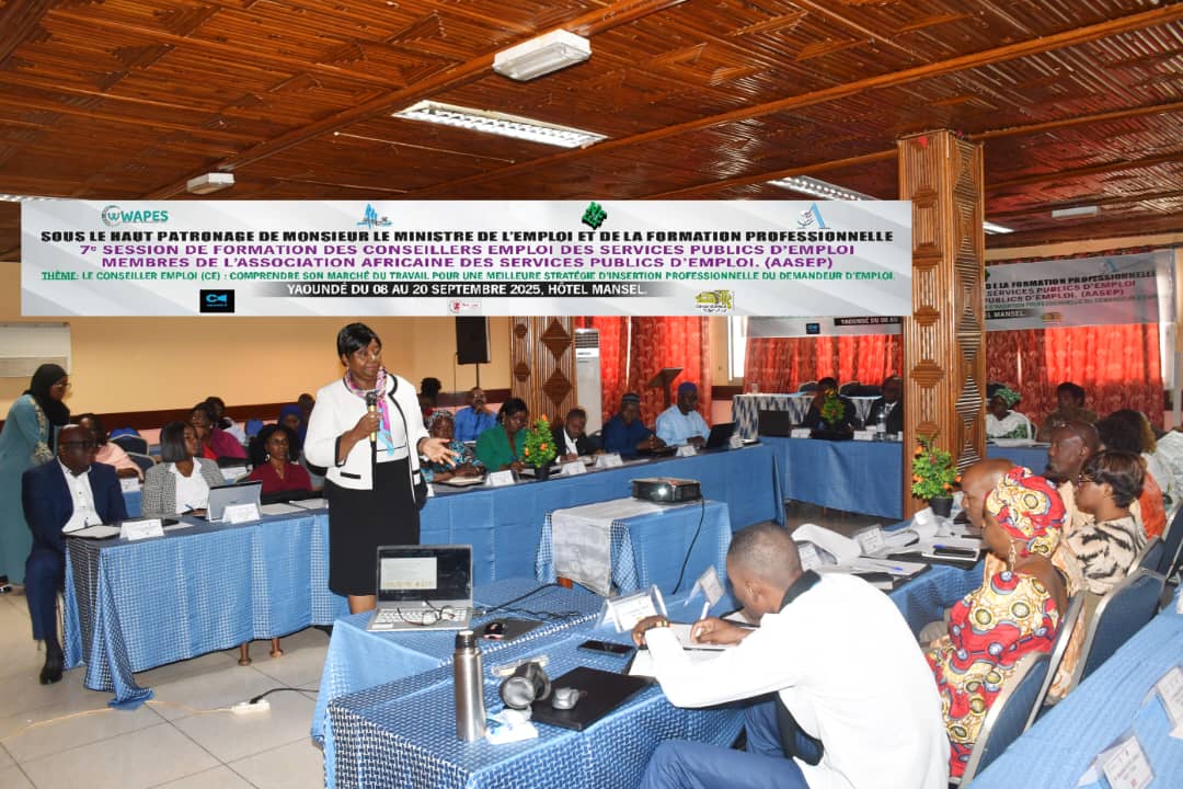 Training employment advisers: AASEP continues the tradition - WAPES